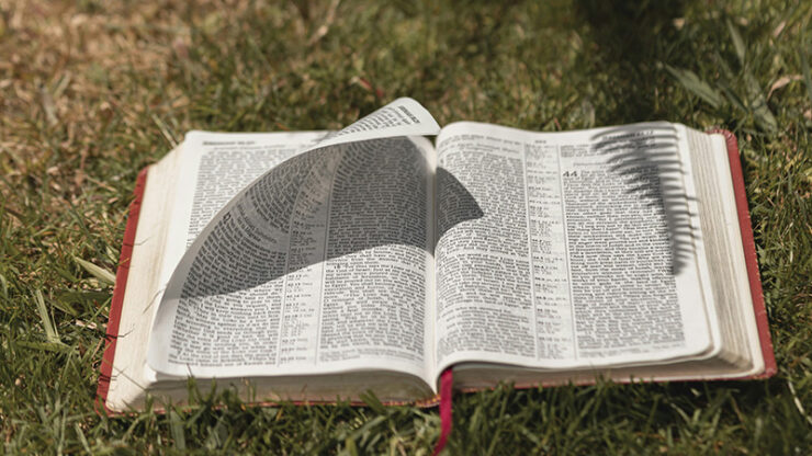 Genesis 5: 10 Generations, Adam to Noah Genealogy